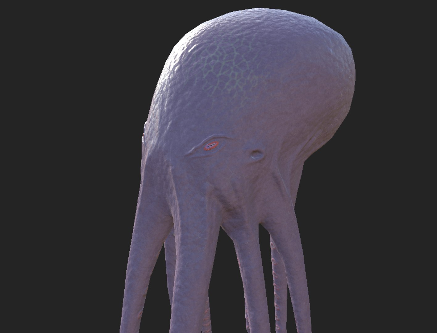 3D Kraken Octopus Model - TurboSquid 1401448