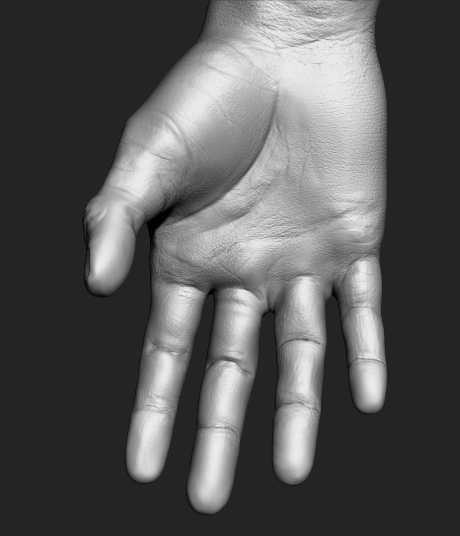 3D Hand - TurboSquid 1579805