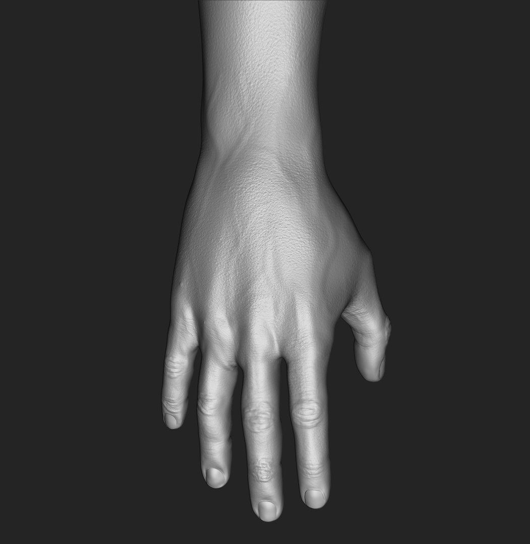 3D Hand - TurboSquid 1579805