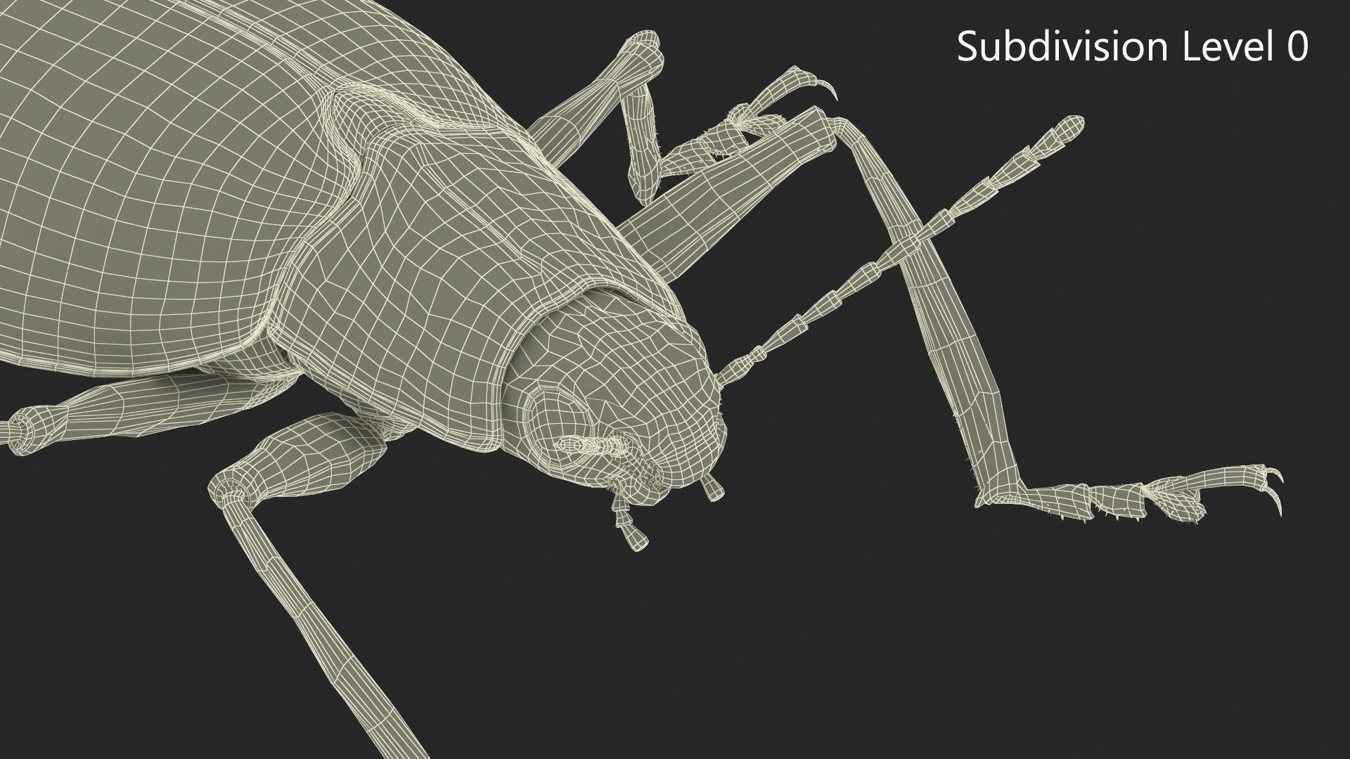 3D Blue Fungus Beetle Insect Fur Rigged - TurboSquid 2267774