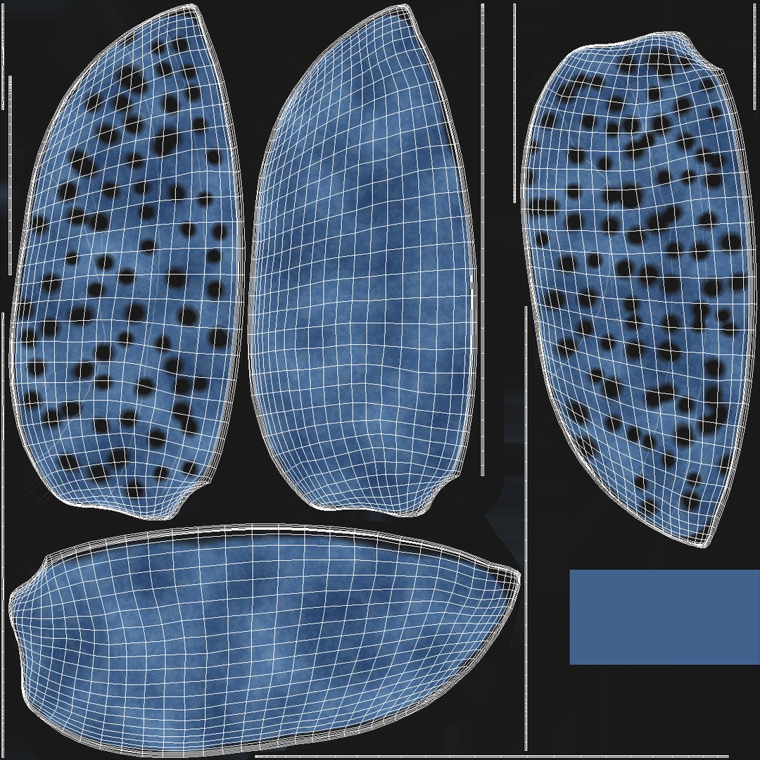 3D Blue Fungus Beetle Insect Fur Rigged - TurboSquid 2267774