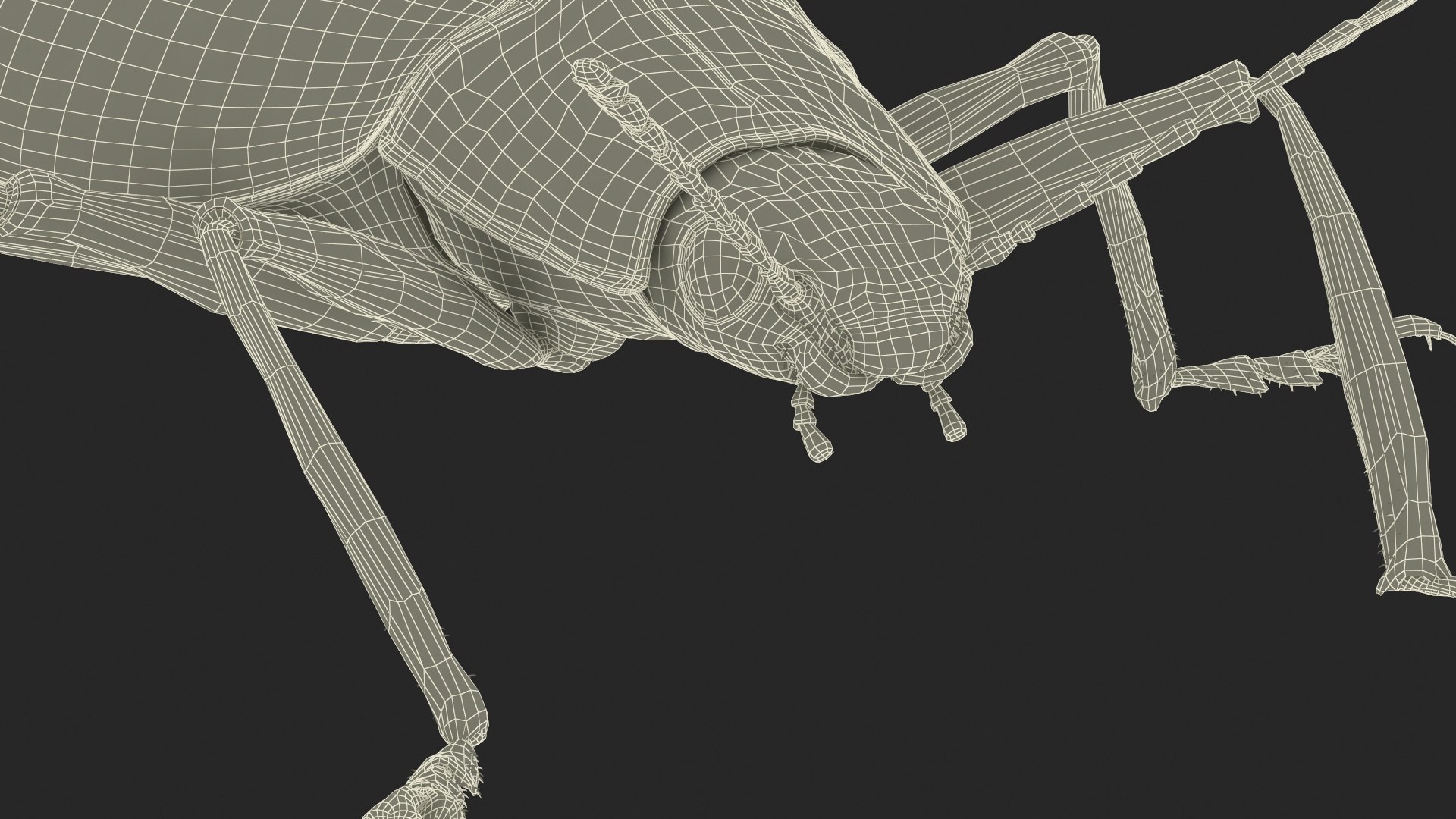 3D Blue Fungus Beetle Insect Fur Rigged - TurboSquid 2267774