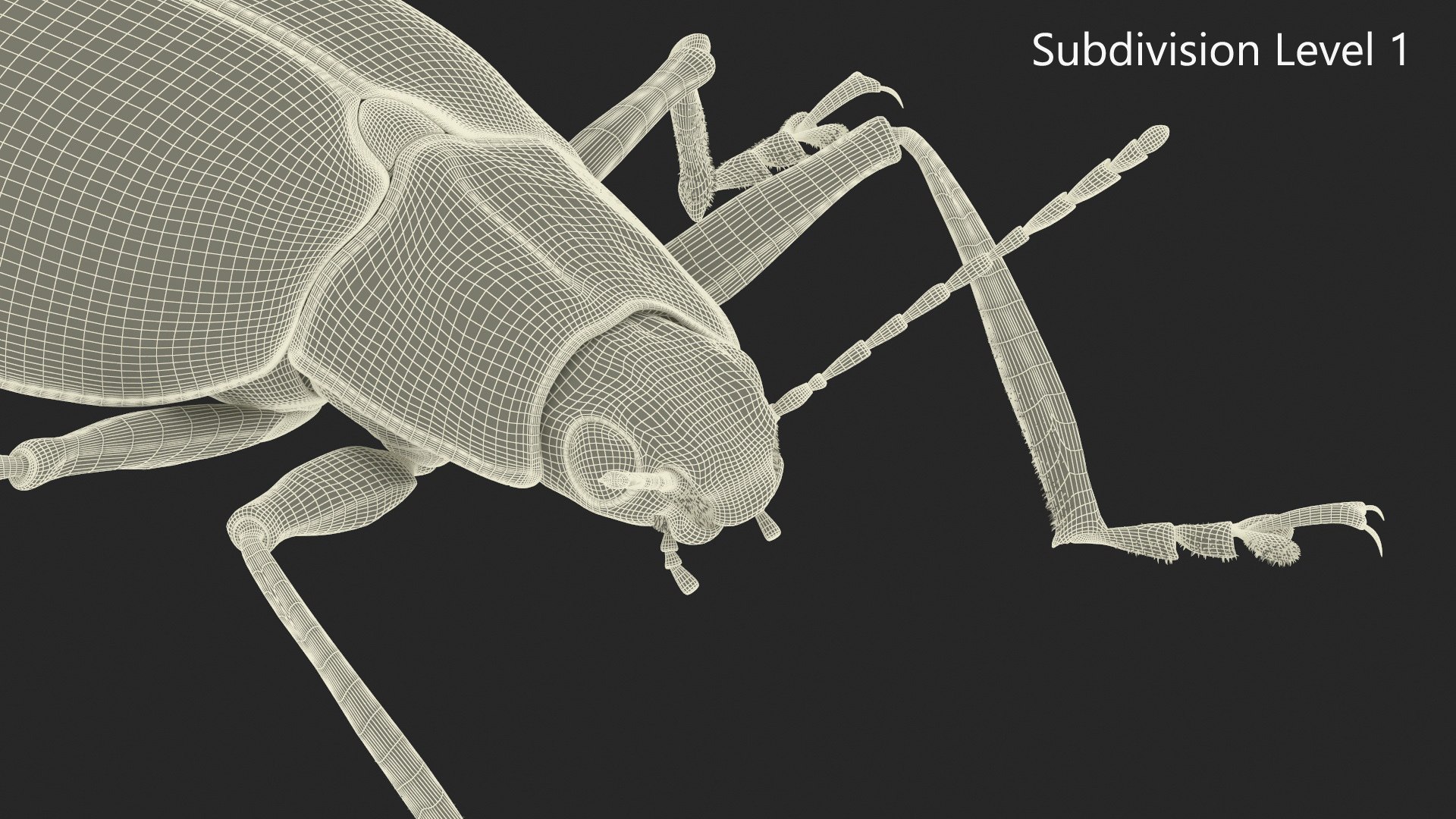 3D Blue Fungus Beetle Insect Fur Rigged - TurboSquid 2267774