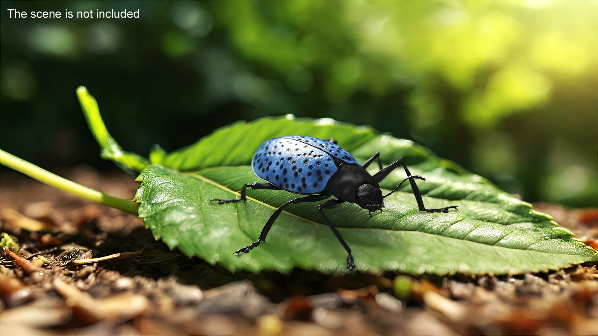 3D Blue Fungus Beetle Insect Fur Rigged - TurboSquid 2267774