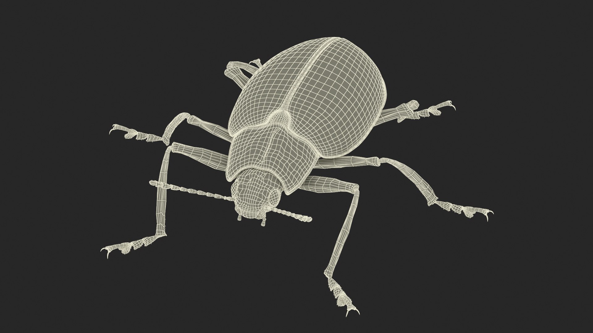 3D Blue Fungus Beetle Insect Fur Rigged - TurboSquid 2267774