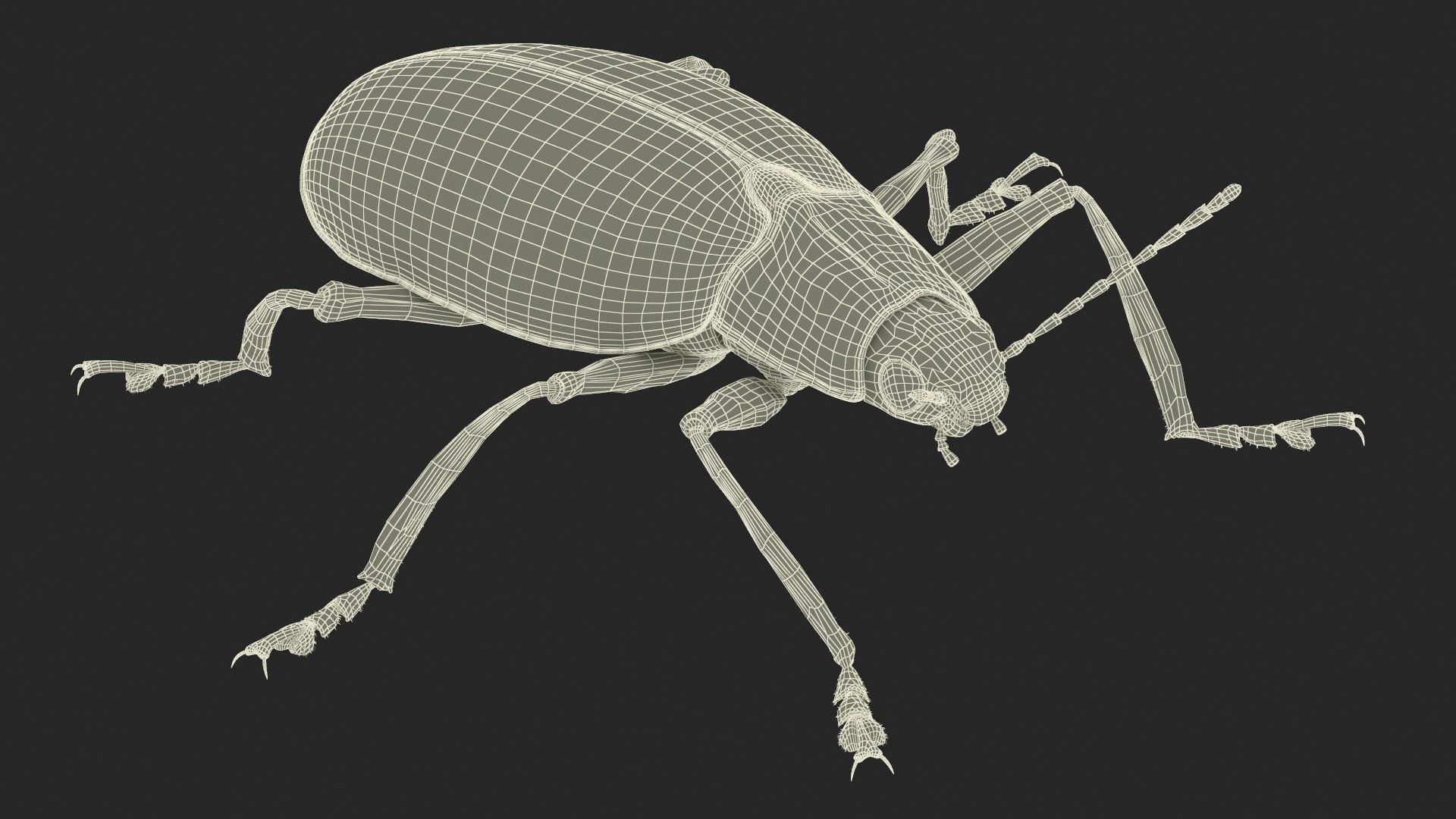 3D Blue Fungus Beetle Insect Fur Rigged - TurboSquid 2267774