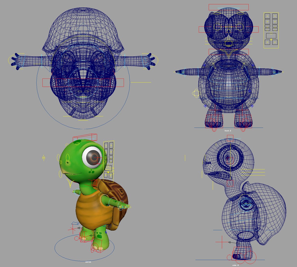 3D Model Turtle Rigged - TurboSquid 1656263