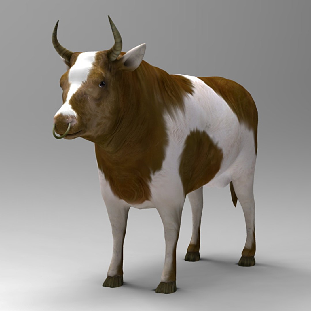 3d Model Bull