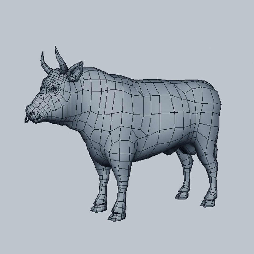 3d Model Bull