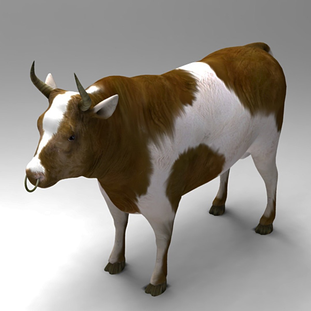 3d Model Bull