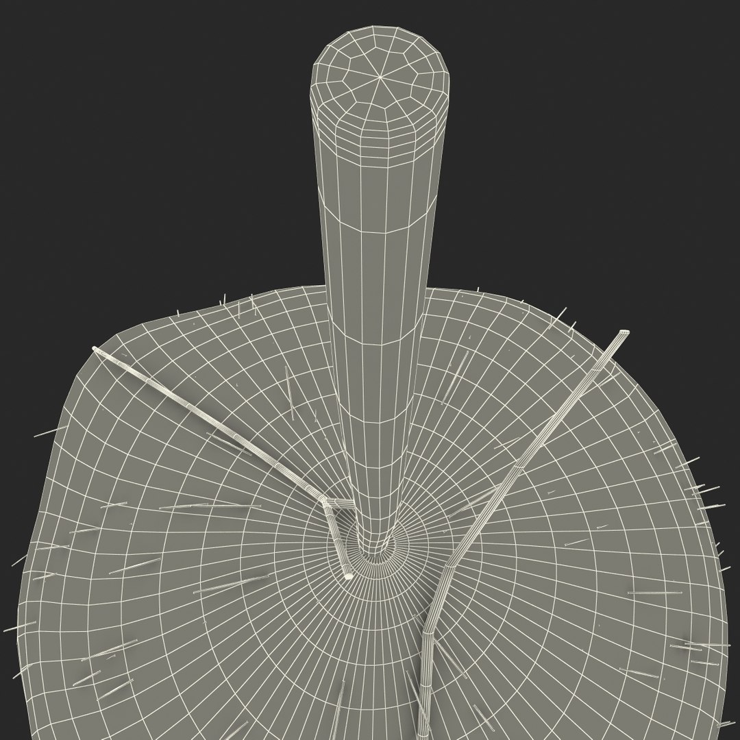 3d Romanian Hay Model