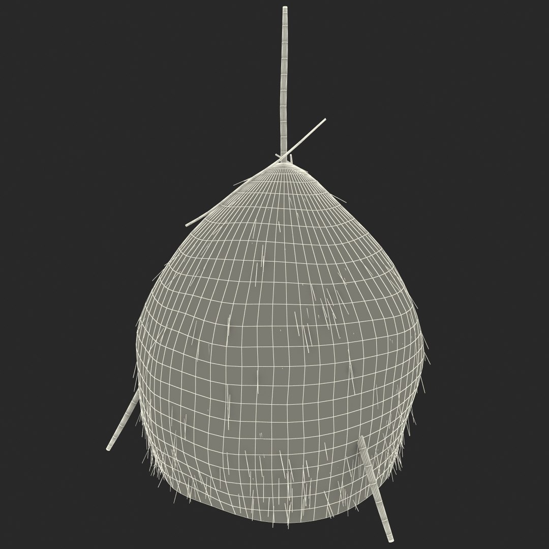 3d Romanian Hay Model