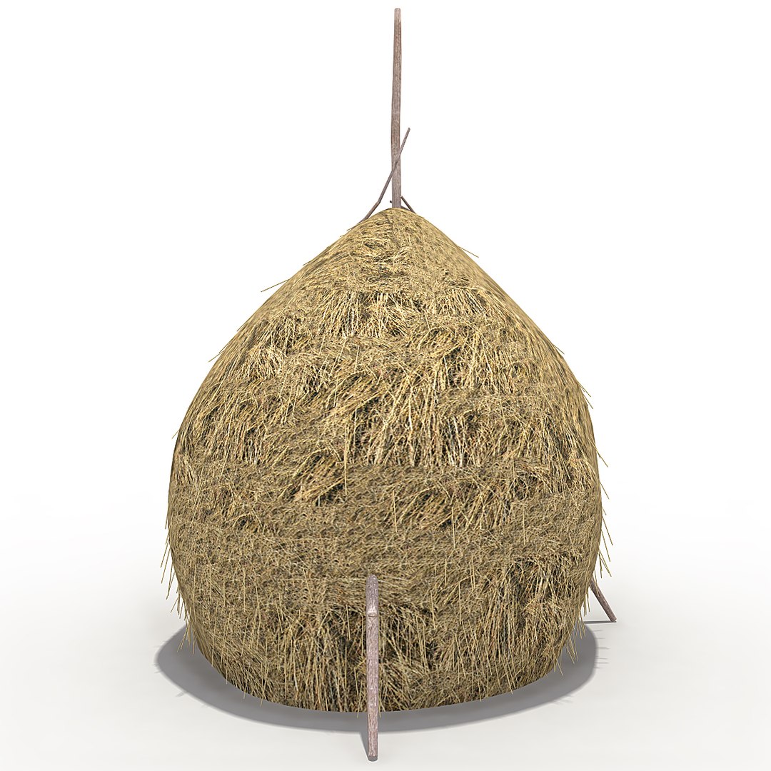 3d Romanian Hay Model