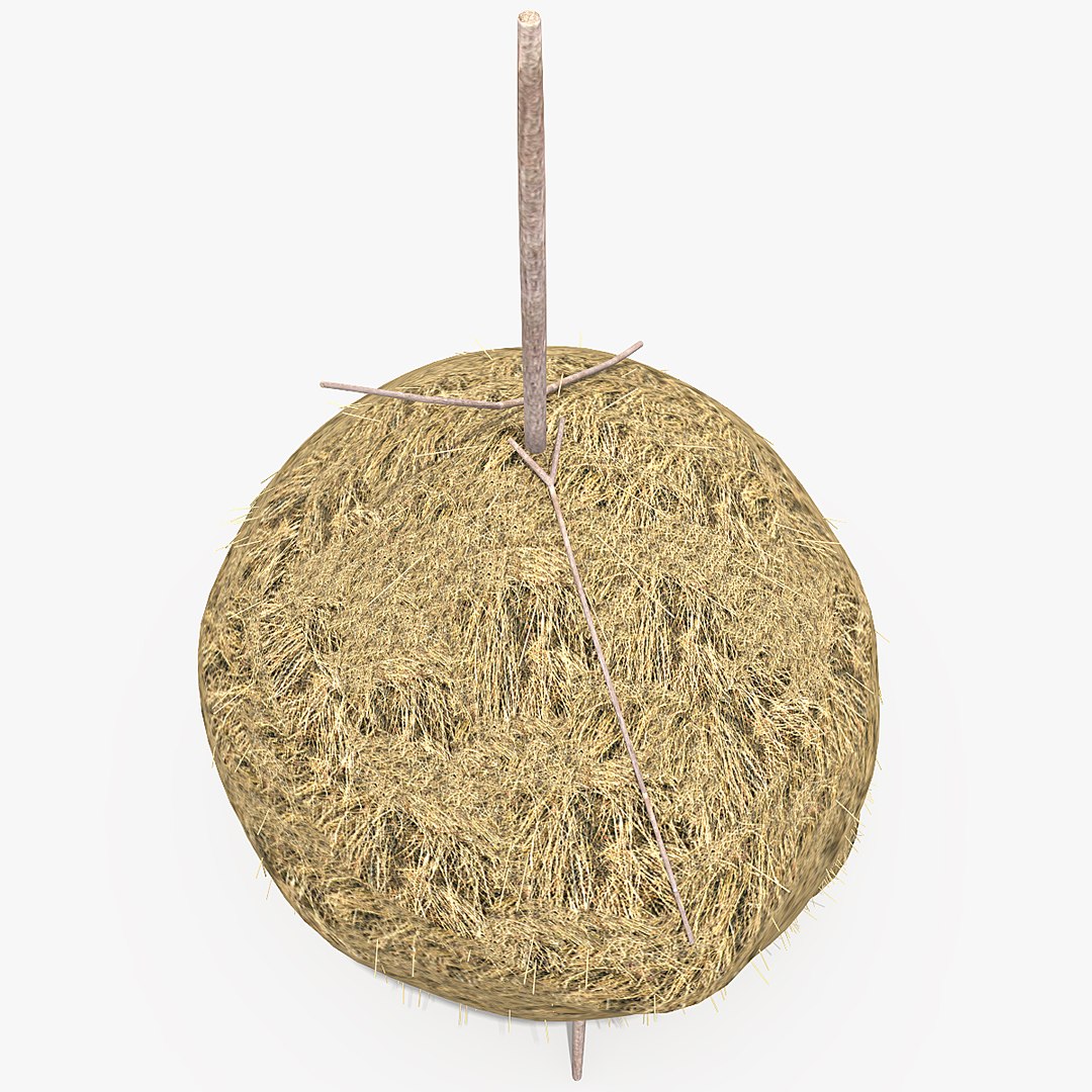 3d Romanian Hay Model