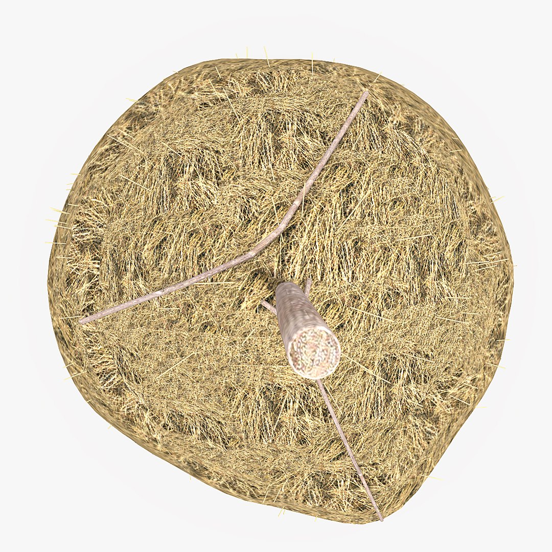 3d Romanian Hay Model