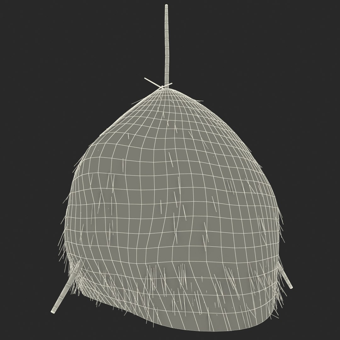 3d Romanian Hay Model