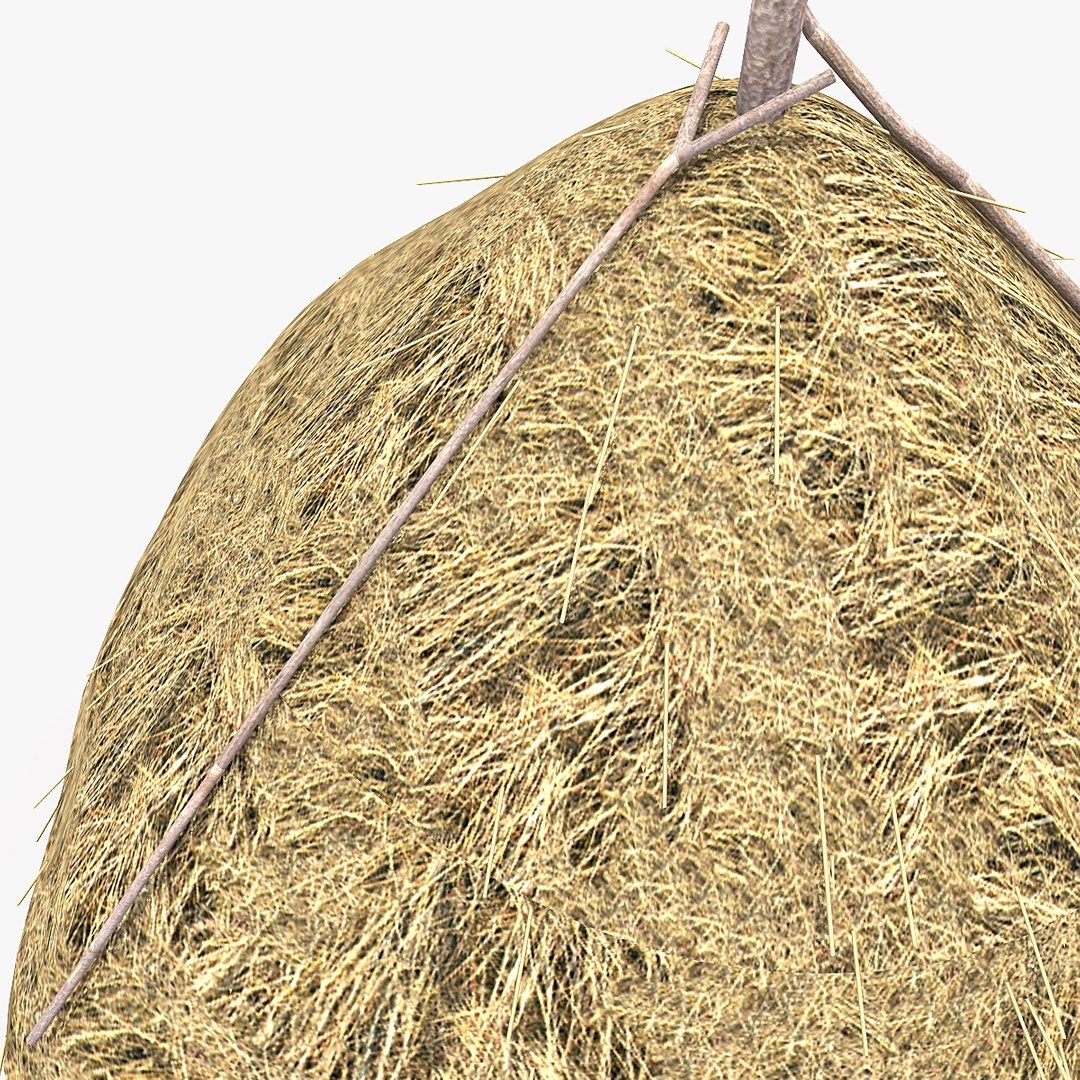 3d Romanian Hay Model