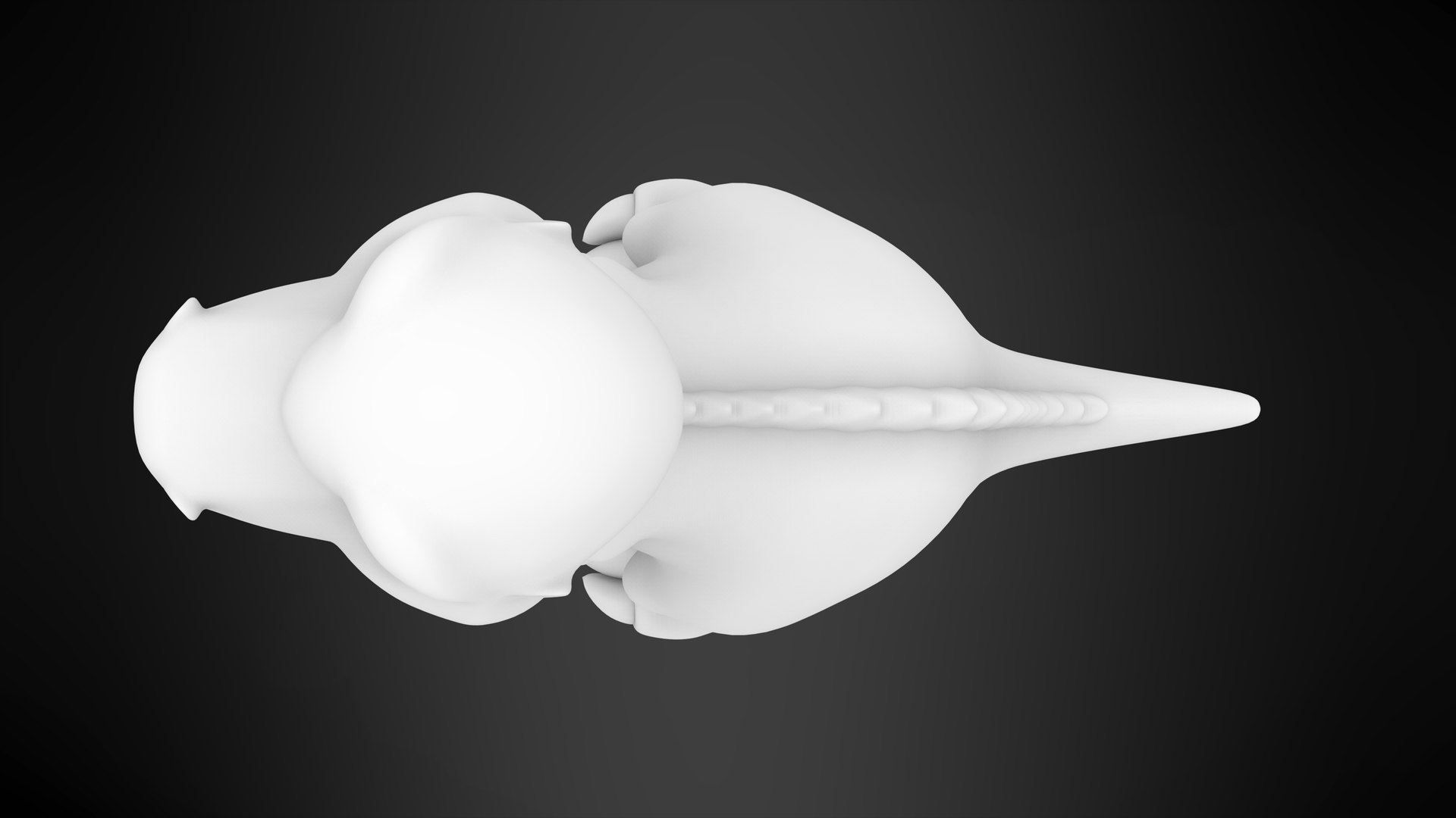 Chomper 3D - TurboSquid 2042448