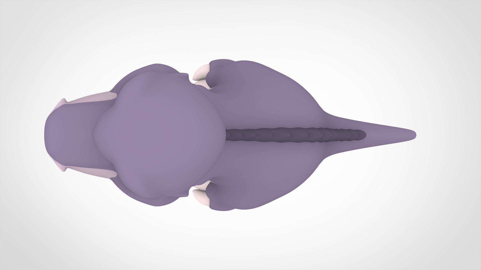 Chomper 3D - TurboSquid 2042448