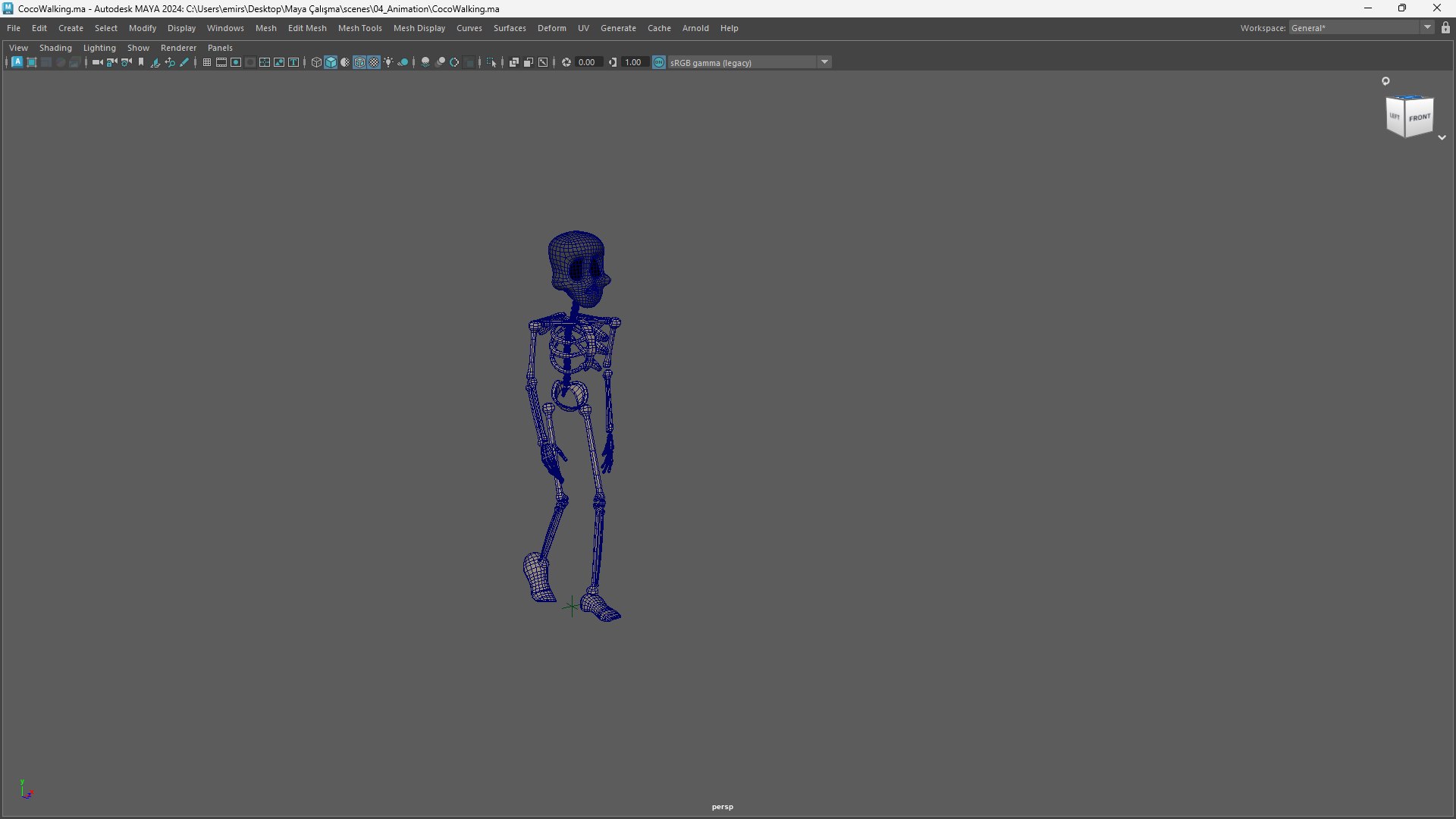 3D Coco Walking Animation -Skeleton- model - TurboSquid 2091352