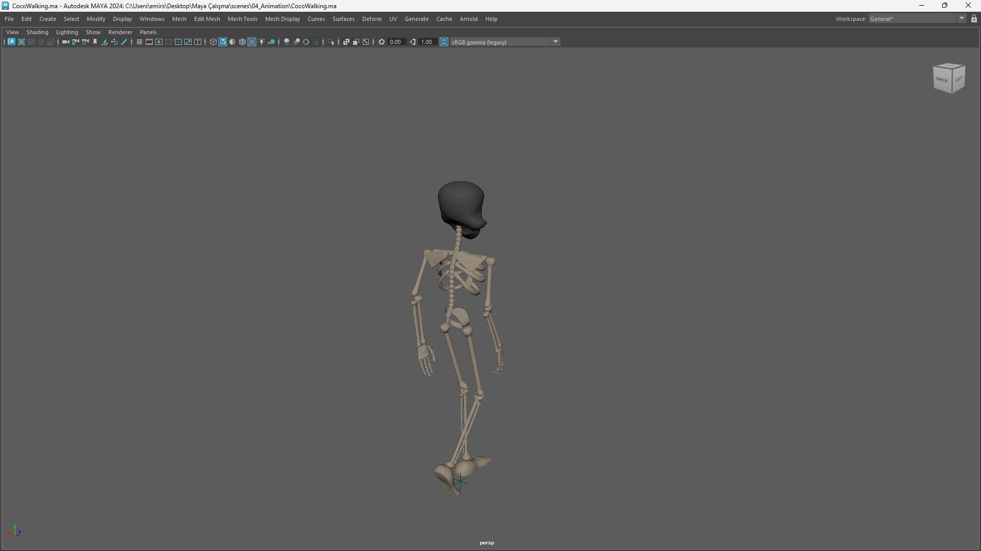3D Coco Walking Animation -Skeleton- model - TurboSquid 2091352