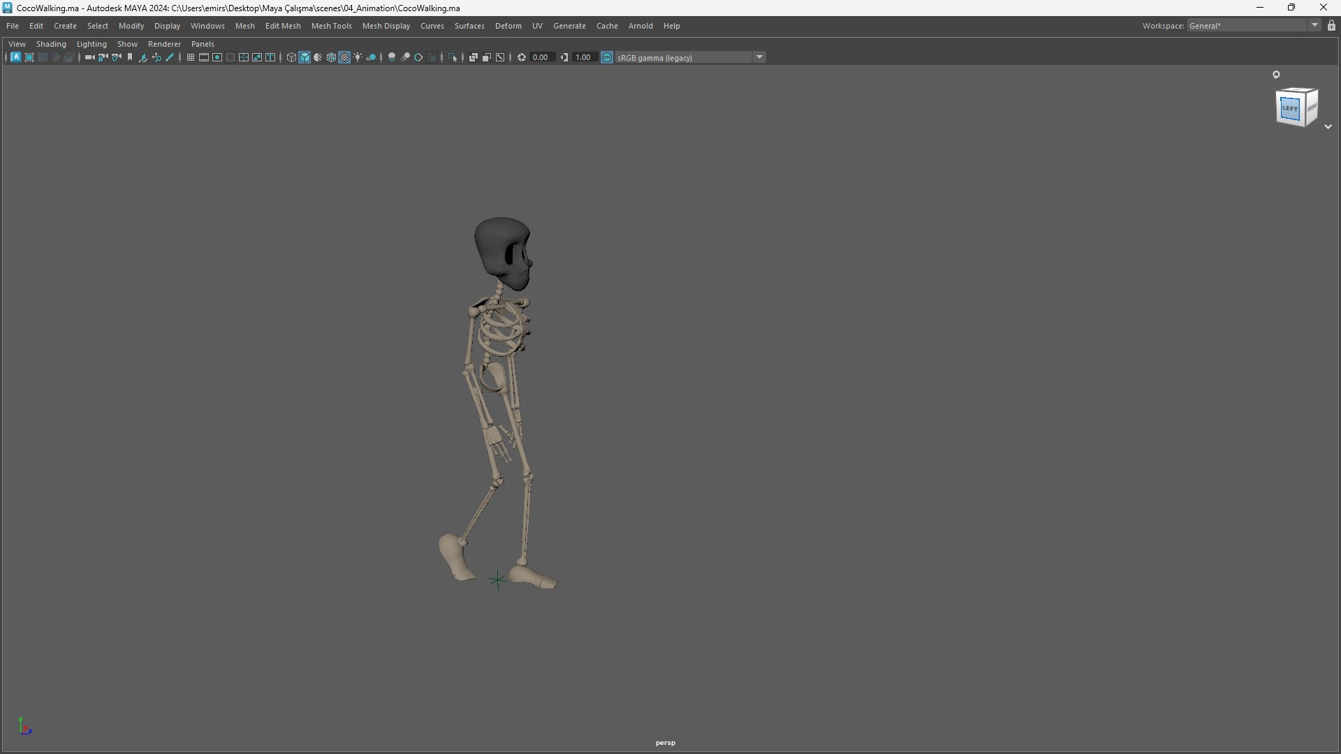 3D Coco Walking Animation -Skeleton- model - TurboSquid 2091352