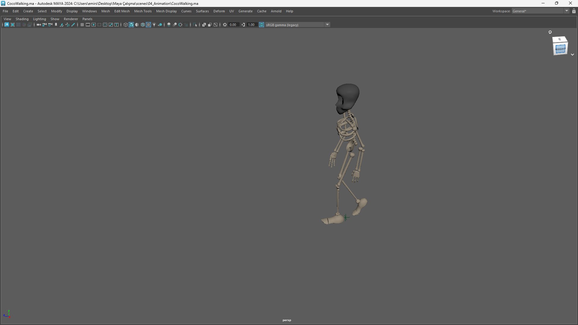3D Coco Walking Animation -Skeleton- model - TurboSquid 2091352