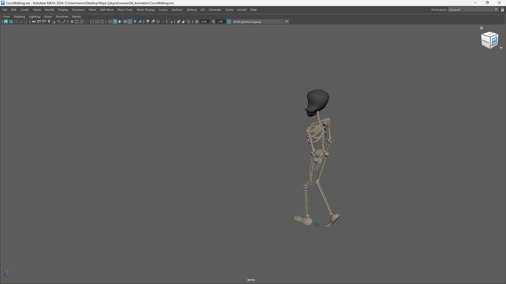 3D Coco Walking Animation -Skeleton- model - TurboSquid 2091352