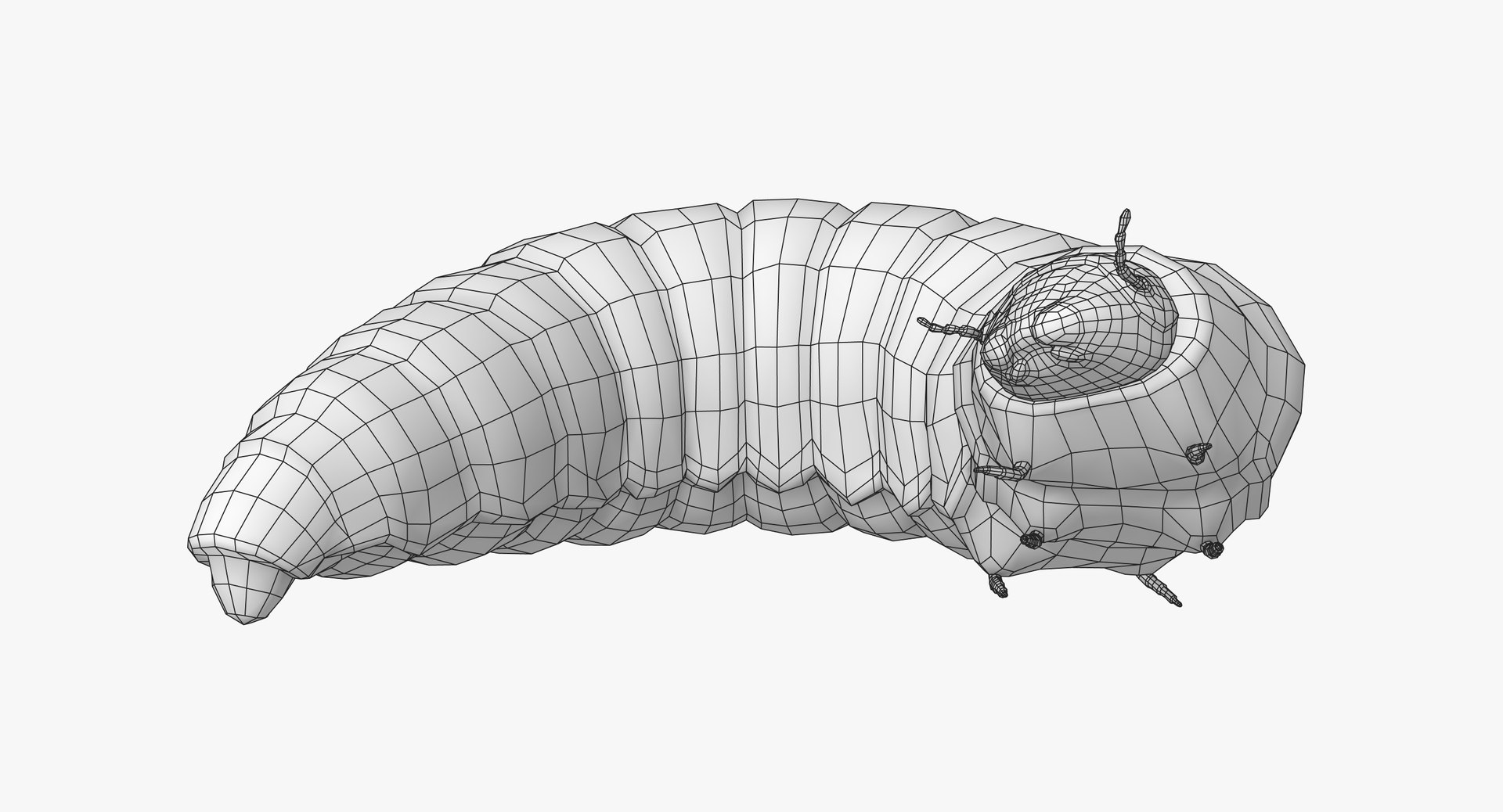 3D Model Maggot Mesh - TurboSquid 1570245