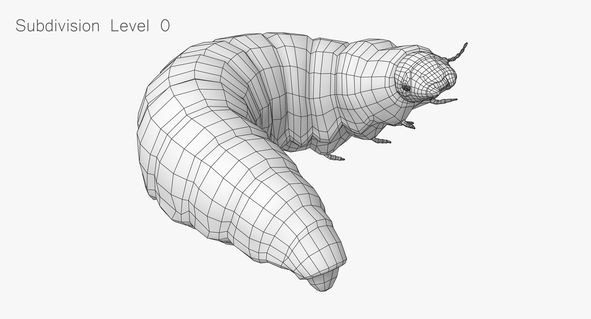 3D Model Maggot Mesh - TurboSquid 1570245
