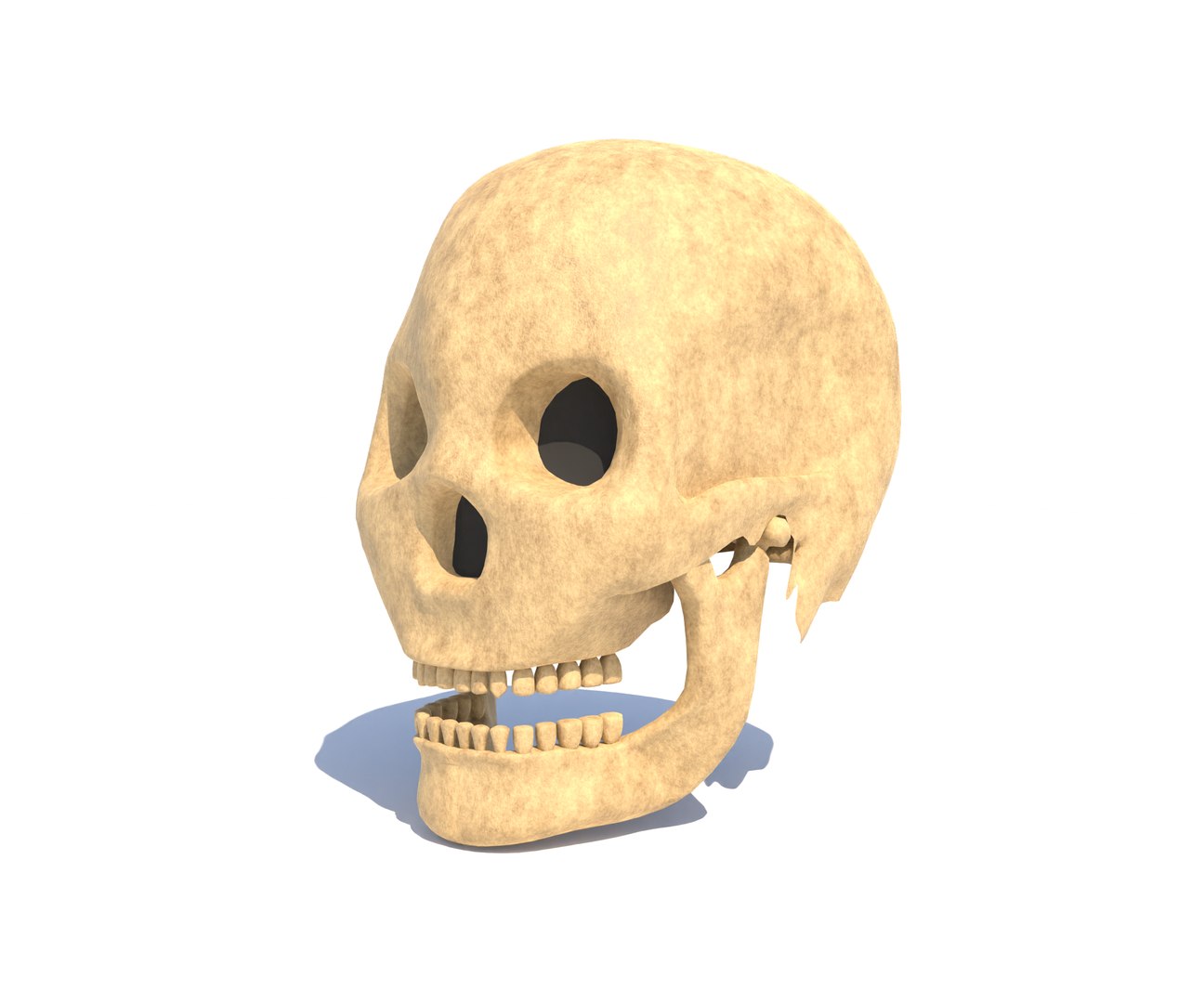 Human Skull - UE5 3D Model - TurboSquid 2071998