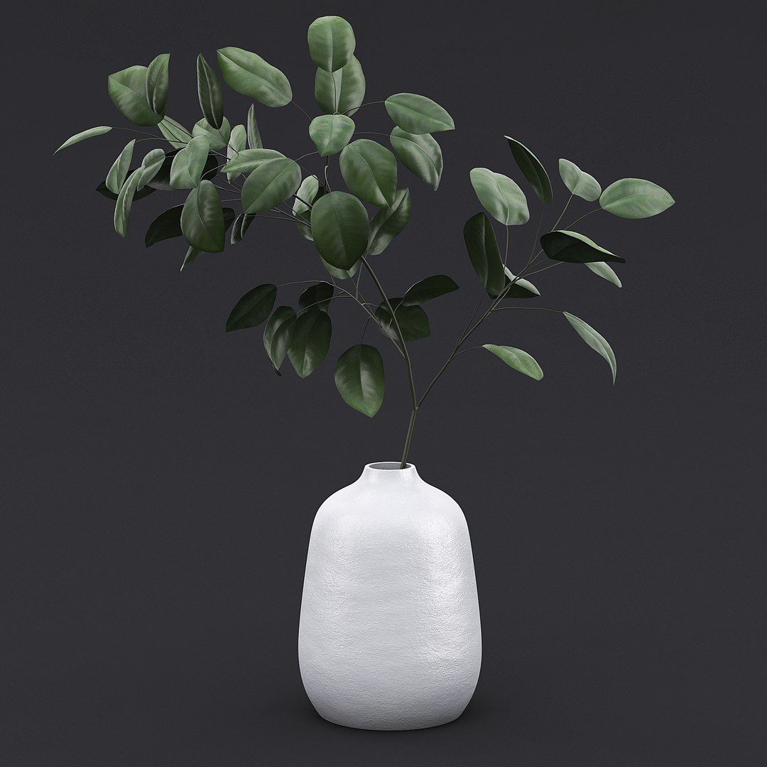 Tree Branch In Vase II 3D - TurboSquid 2110656