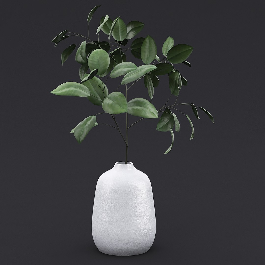 Tree Branch In Vase II 3D - TurboSquid 2110656