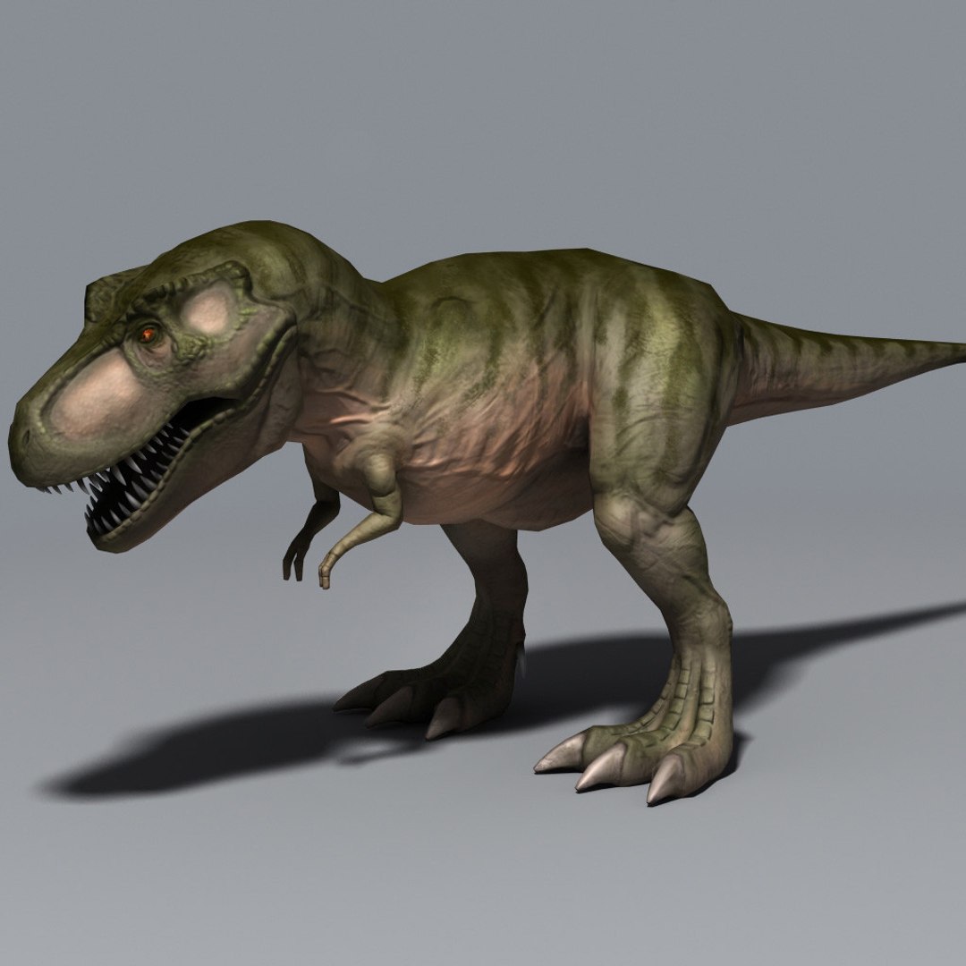 3d Rex Tyrannosaurus