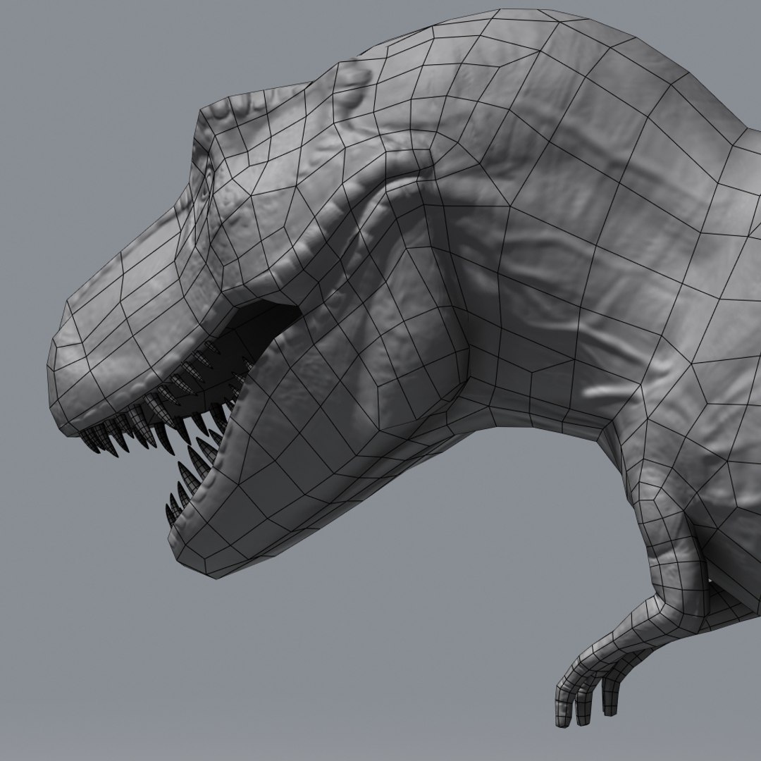 3d Rex Tyrannosaurus