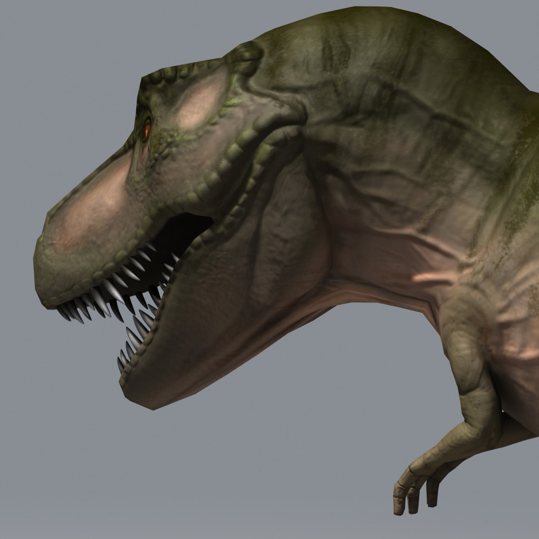 3d Rex Tyrannosaurus