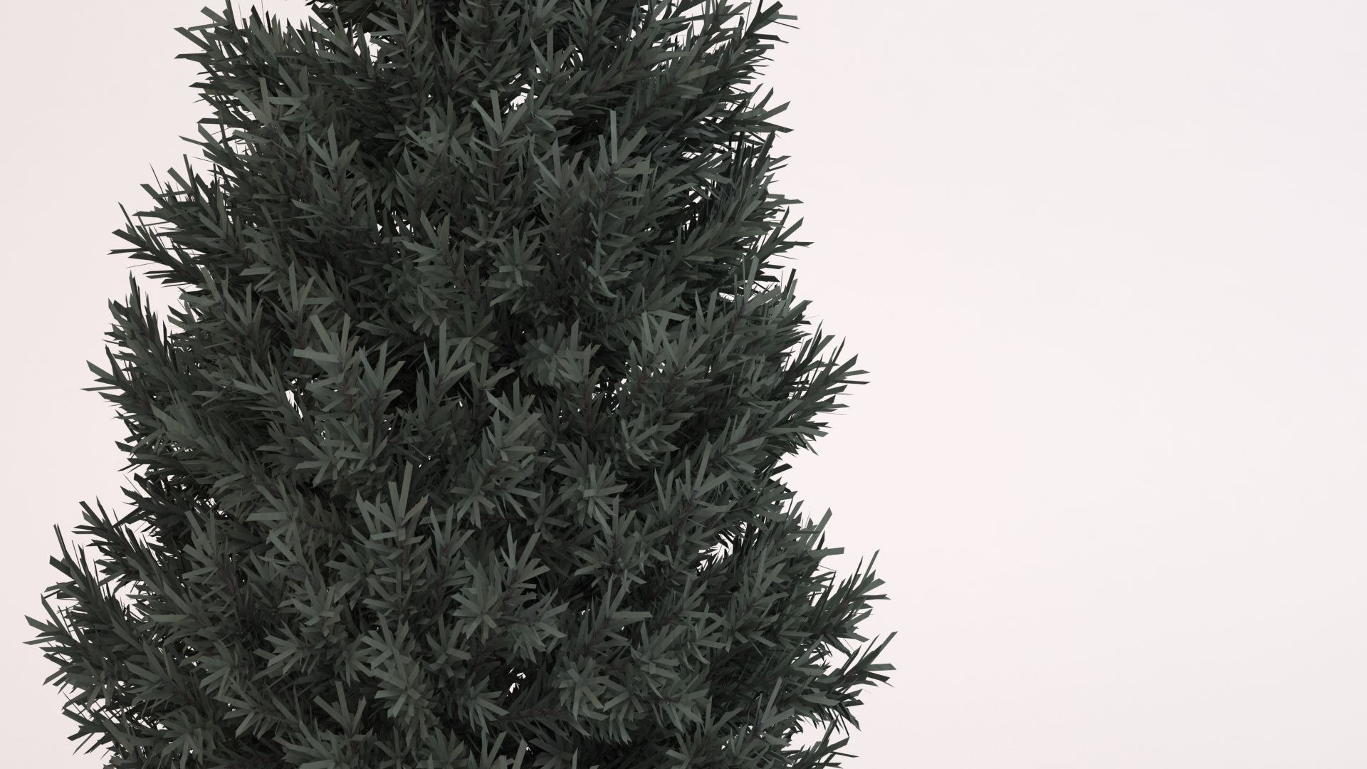 3d italian cypress trees 3 model