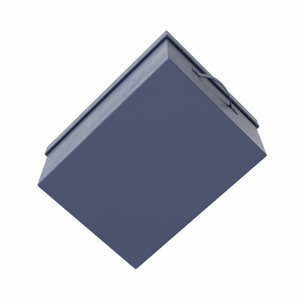 Blue Storage Box model - TurboSquid 1975192