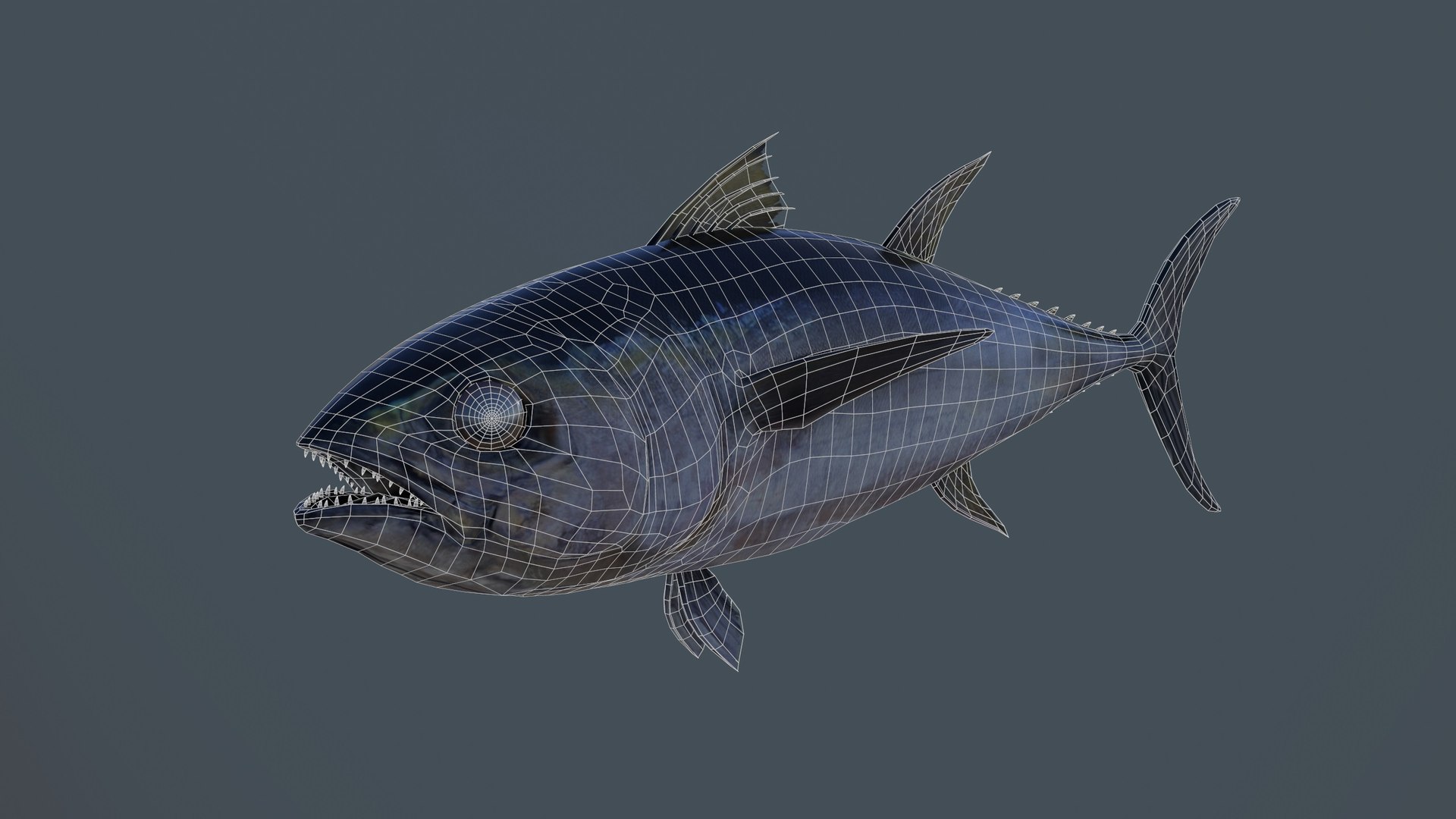 3D Common Sea Fish Low-poly 3D Model Model - TurboSquid 1981939