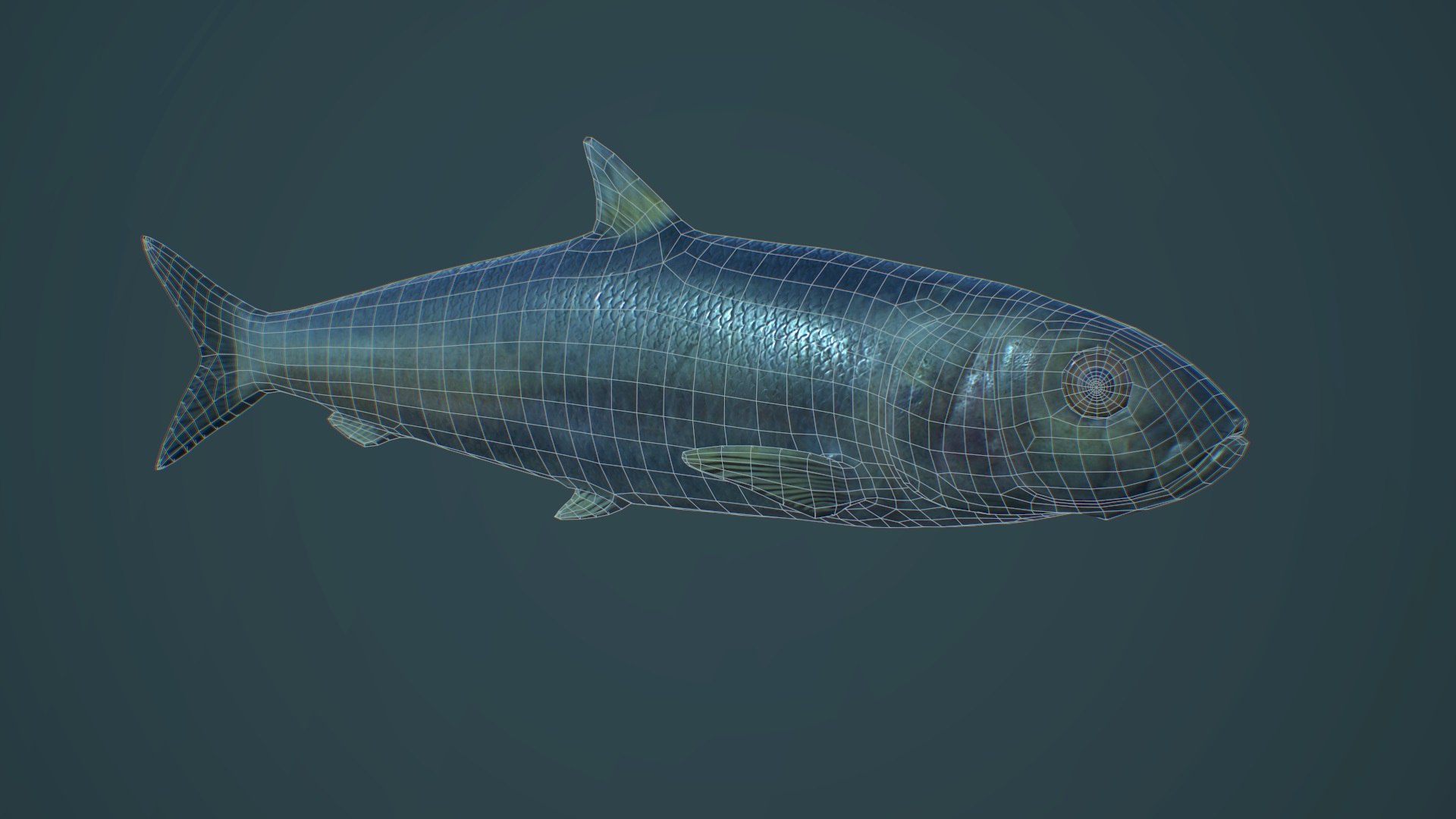 3D Common Sea Fish Low-poly 3D Model Model - TurboSquid 1981939
