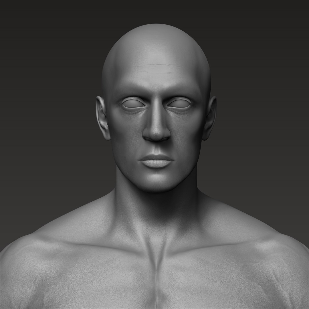 3D Anatomically Correct Male - TurboSquid 1607747