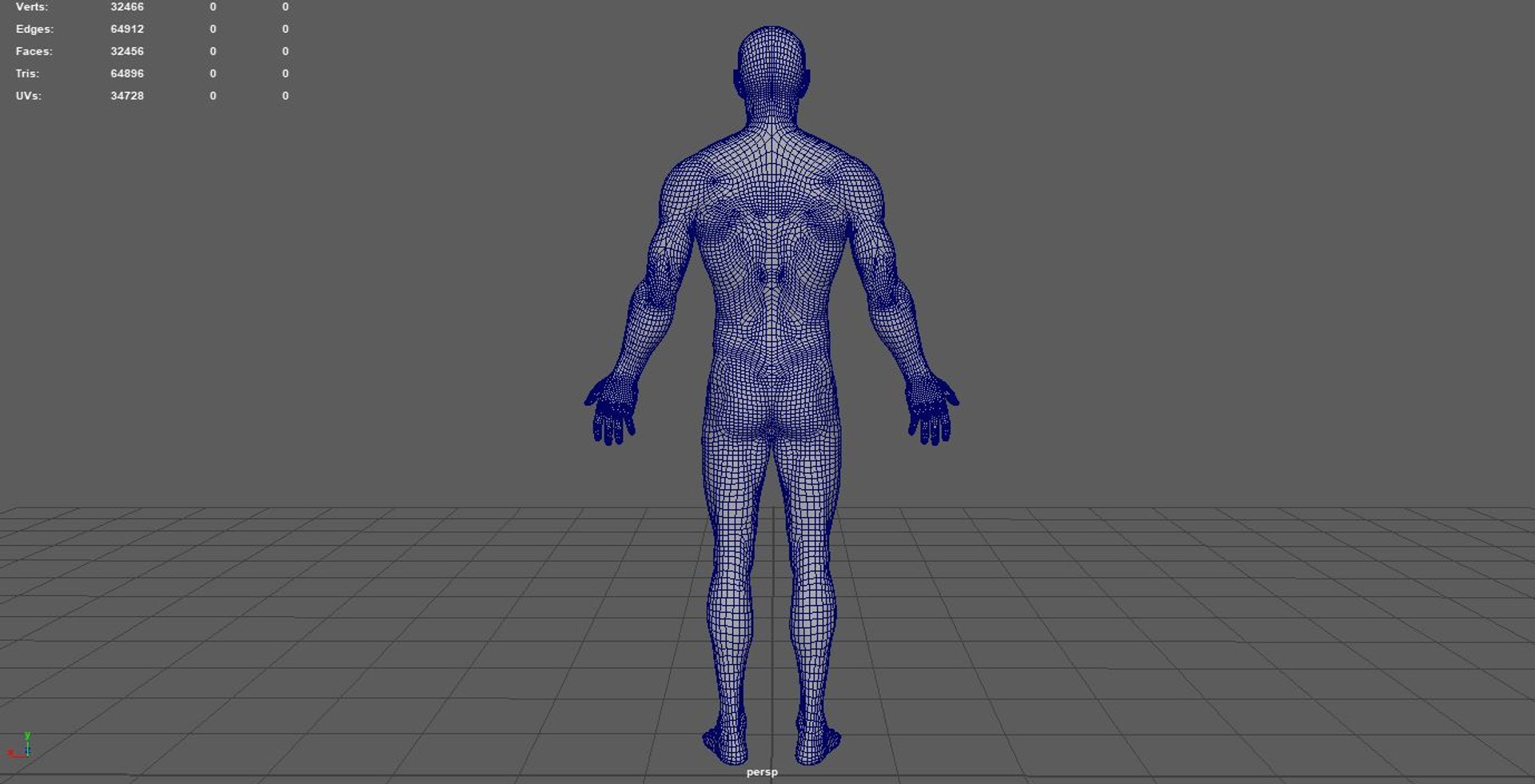 3D Anatomically Correct Male - TurboSquid 1607747