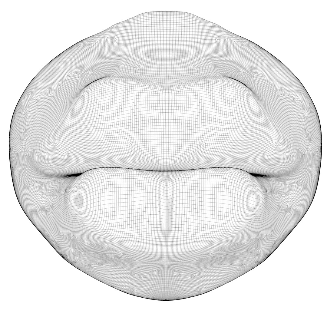3D Anatomy Lip - TurboSquid 1427214