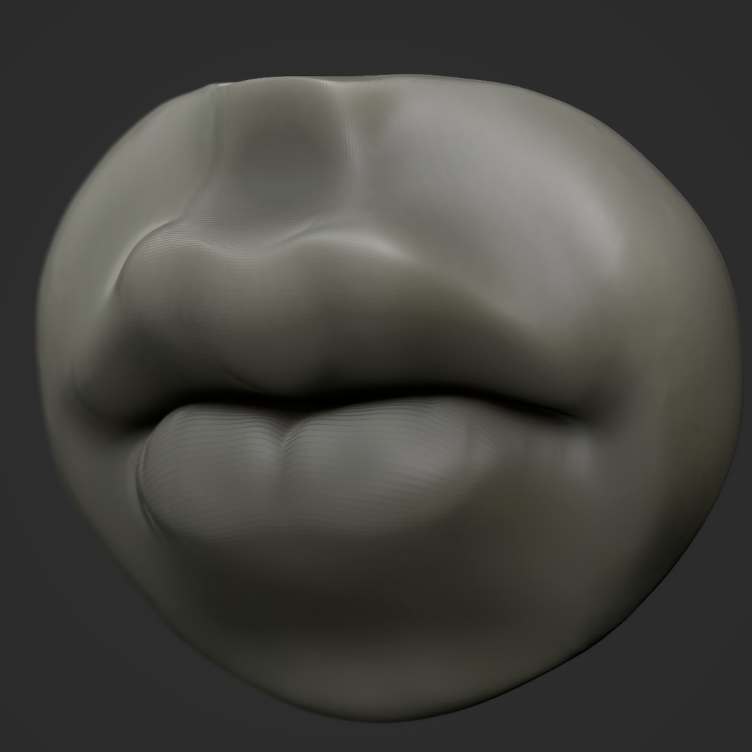3D Anatomy Lip - TurboSquid 1427214