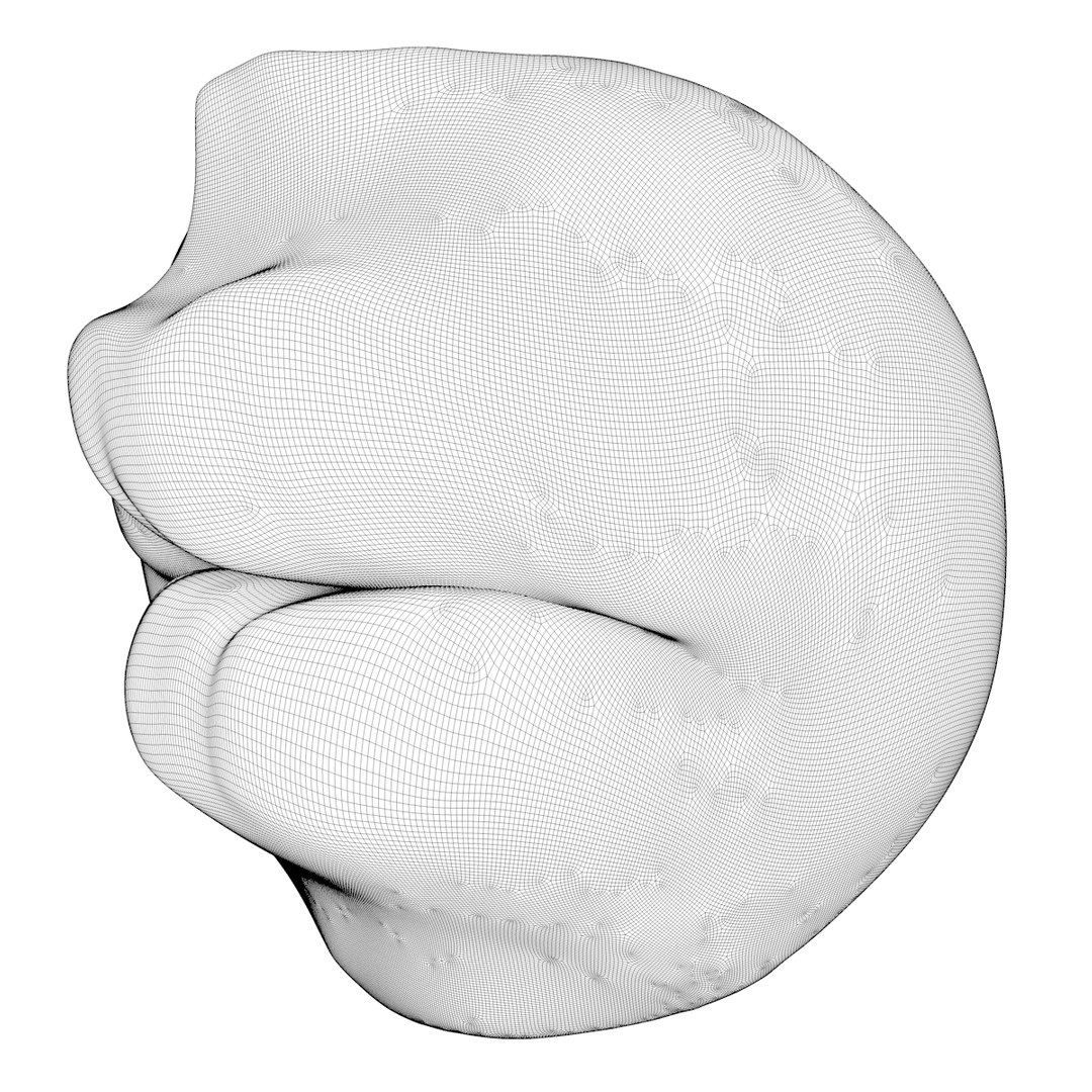 3D Anatomy Lip - TurboSquid 1427214