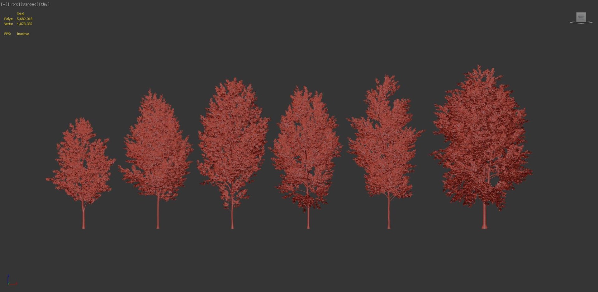 Populus X Canadensis 3D Model - TurboSquid 2110669
