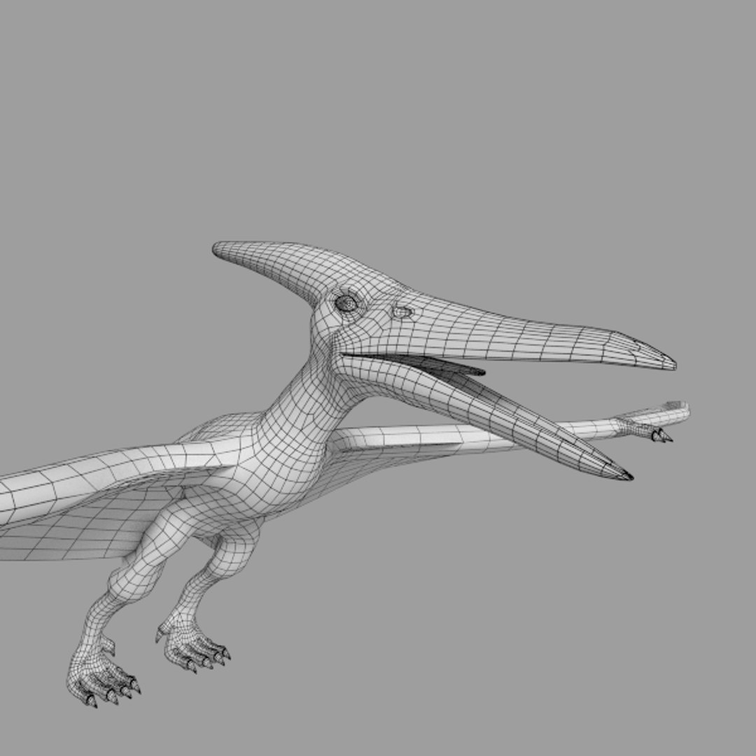 Pterodactyl Pterodactylus 3d X