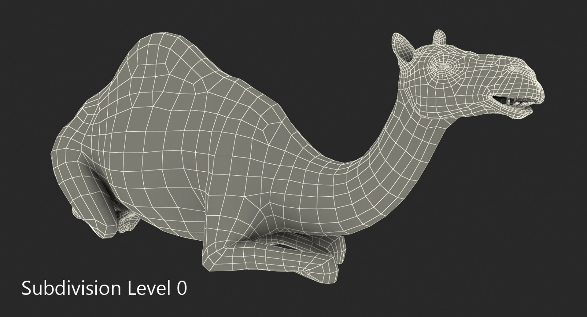 Camel Sitting Pose Fur 3d Model