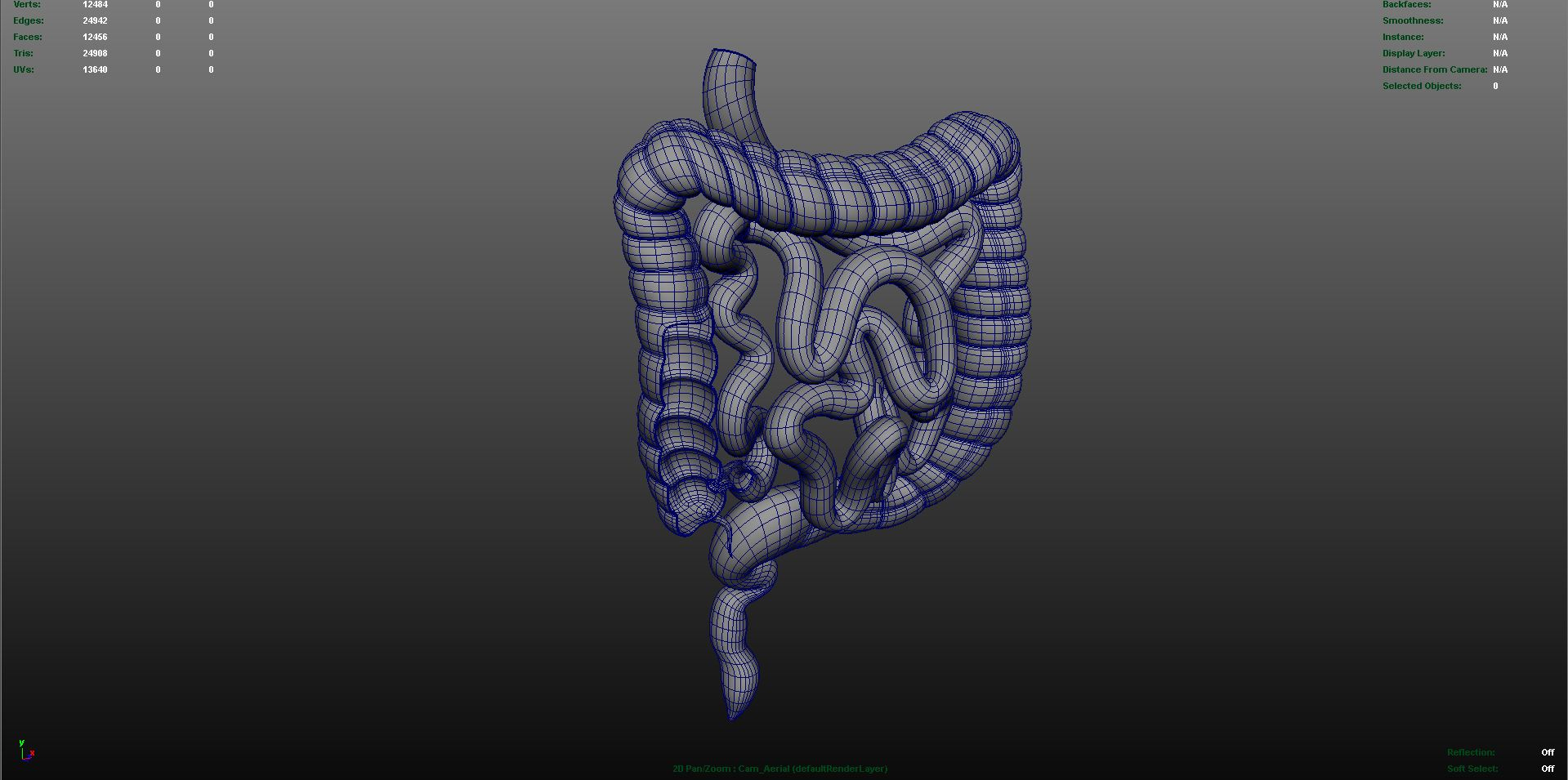 3d small large intestine