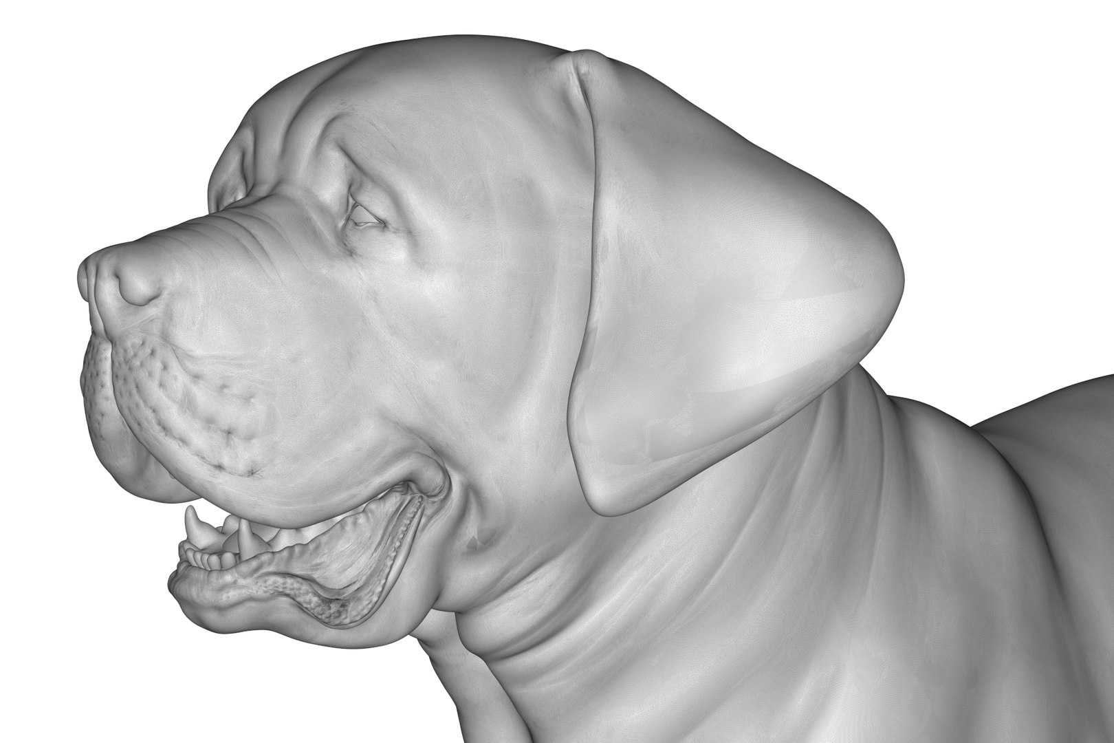 Saint Bernard 3D Model - TurboSquid 2217307